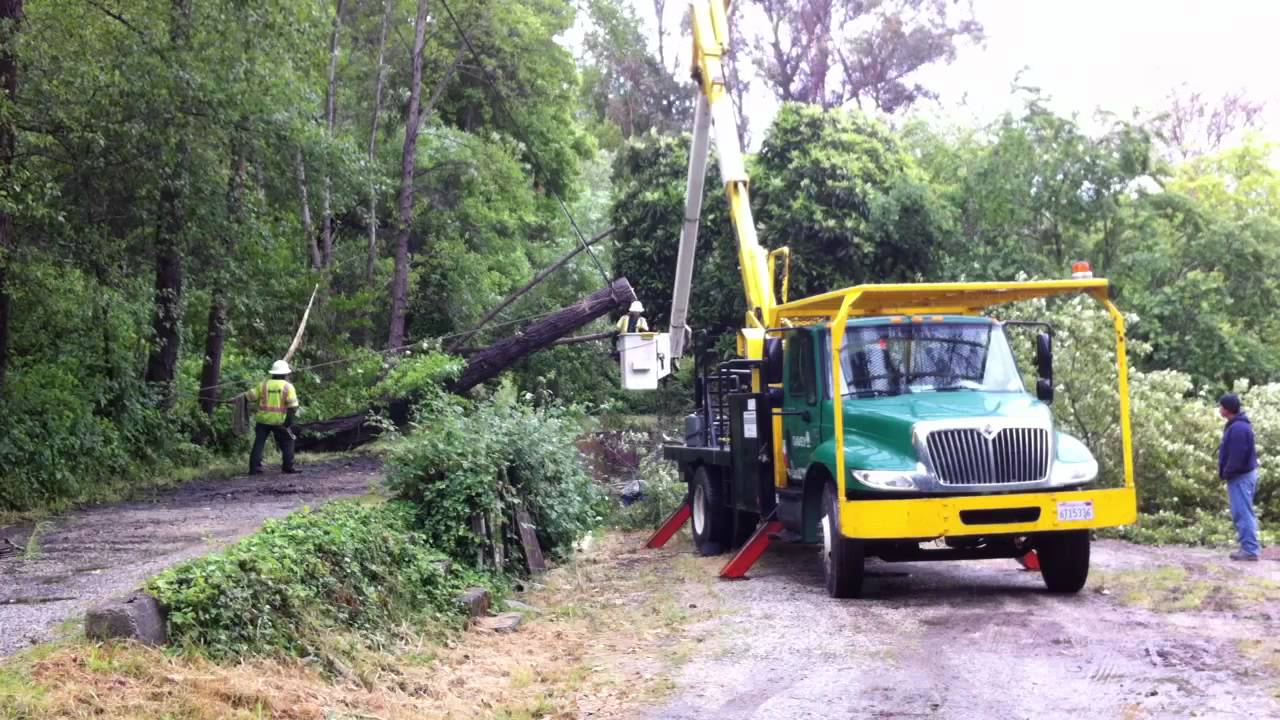 Davey Tree rescues the power line - YouTube