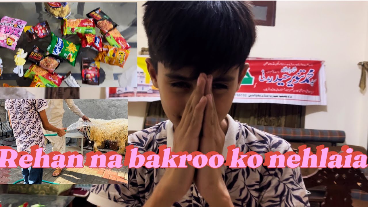 Rehan shah na bakroo ko nahlaia:|rehan shah vlogs #youtube #familyvlogs ...