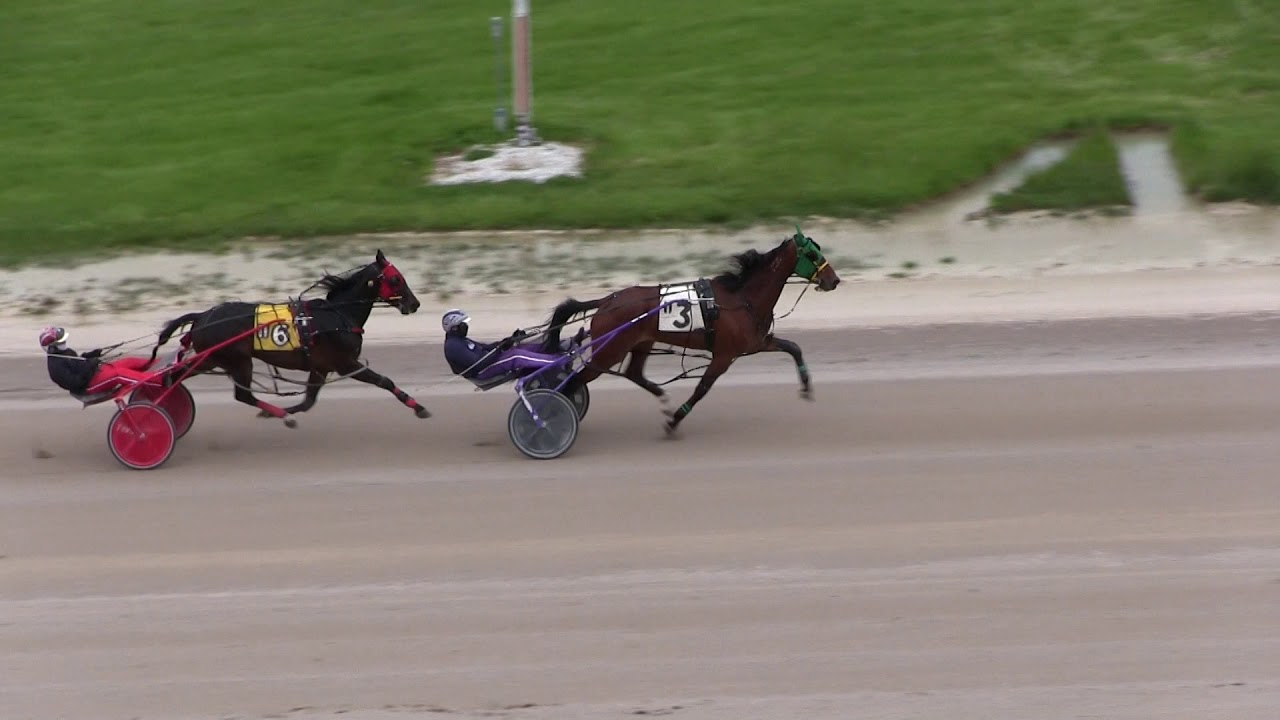Eldorado Scioto Downs Qualifier #11 May 20, 2020 - YouTube