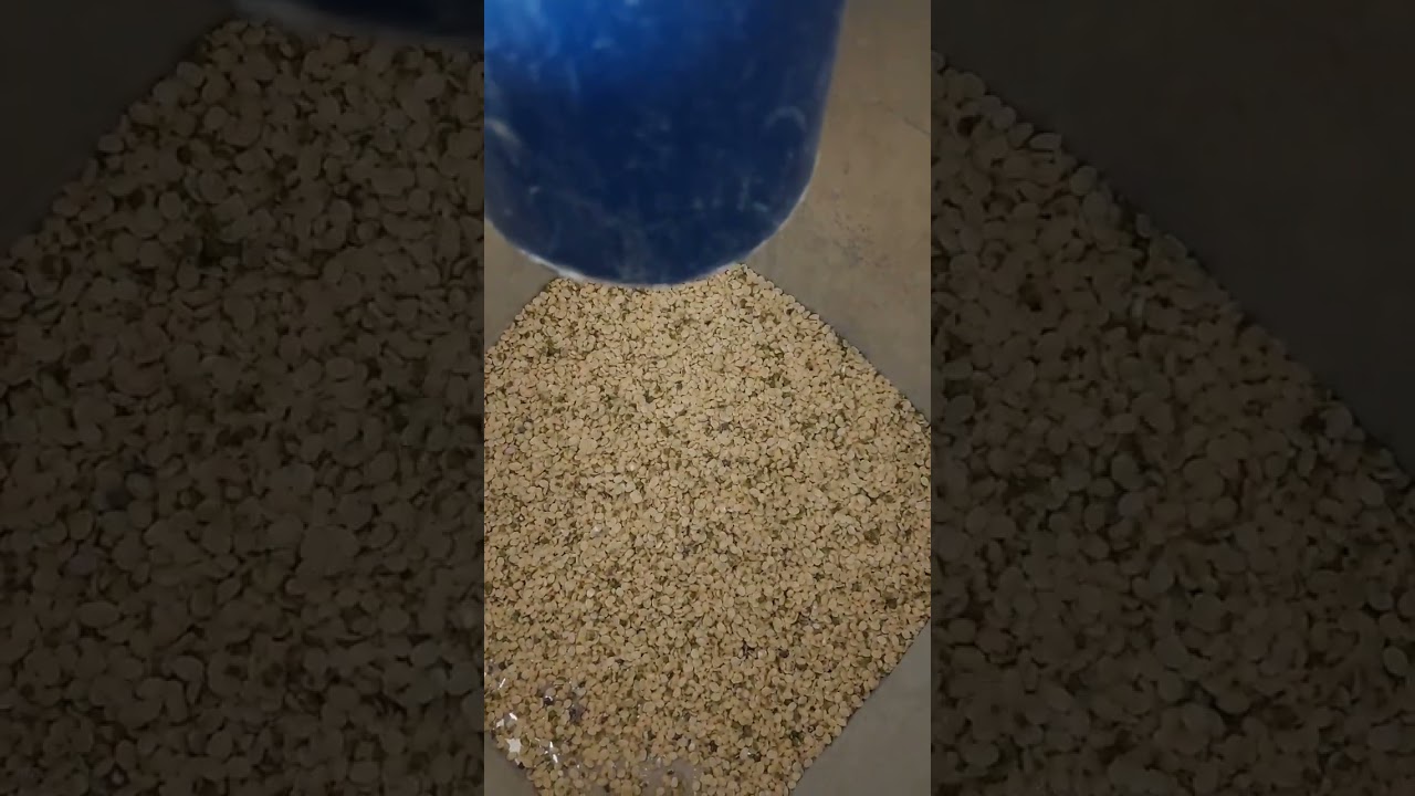 moong dal making process - YouTube