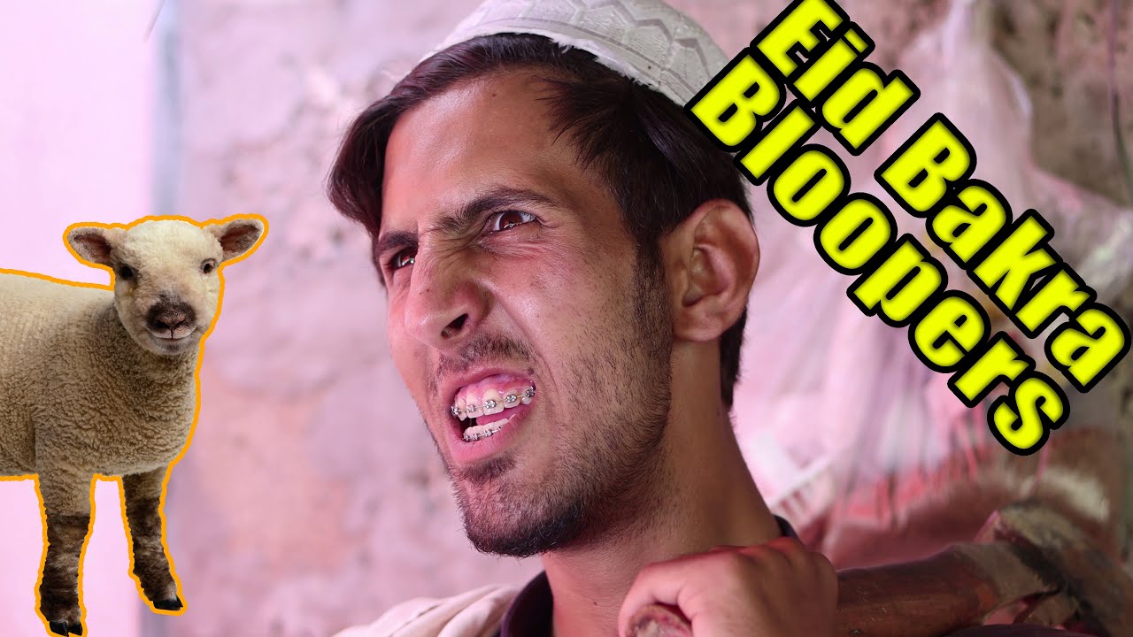 Behind The Scene Of Bakra Eid Of Buner Vines - YouTube