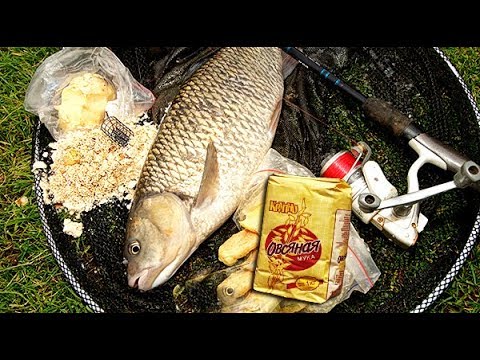 Лучшая овсяная мука для рыбалки, овсянка "геркулес" в прикормку своими ...