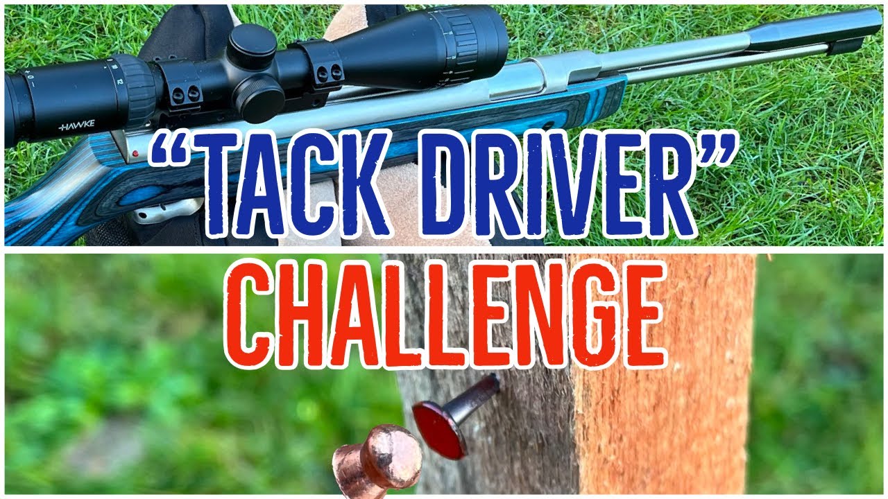 Custom Weihrauch HW97k “tack driver” challenge. More fun than a hammer ...