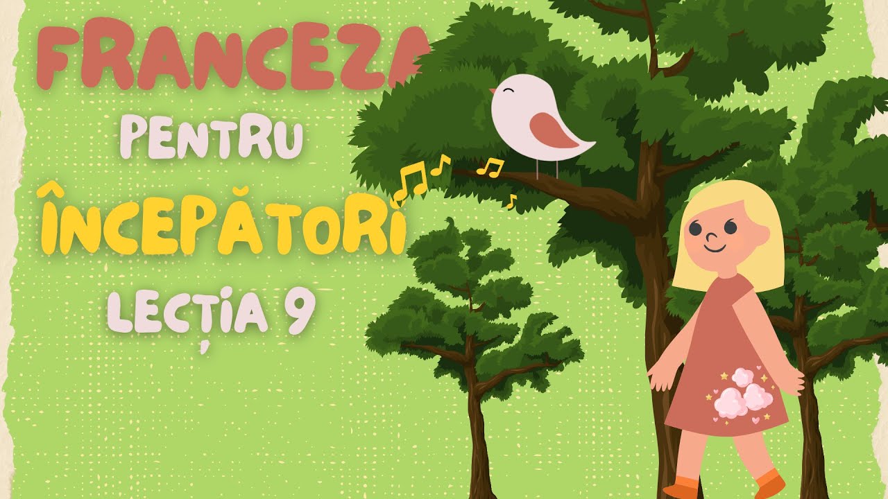 Franceza pentru incepatori (9) - Propozitii simple in franceza(2023 ...