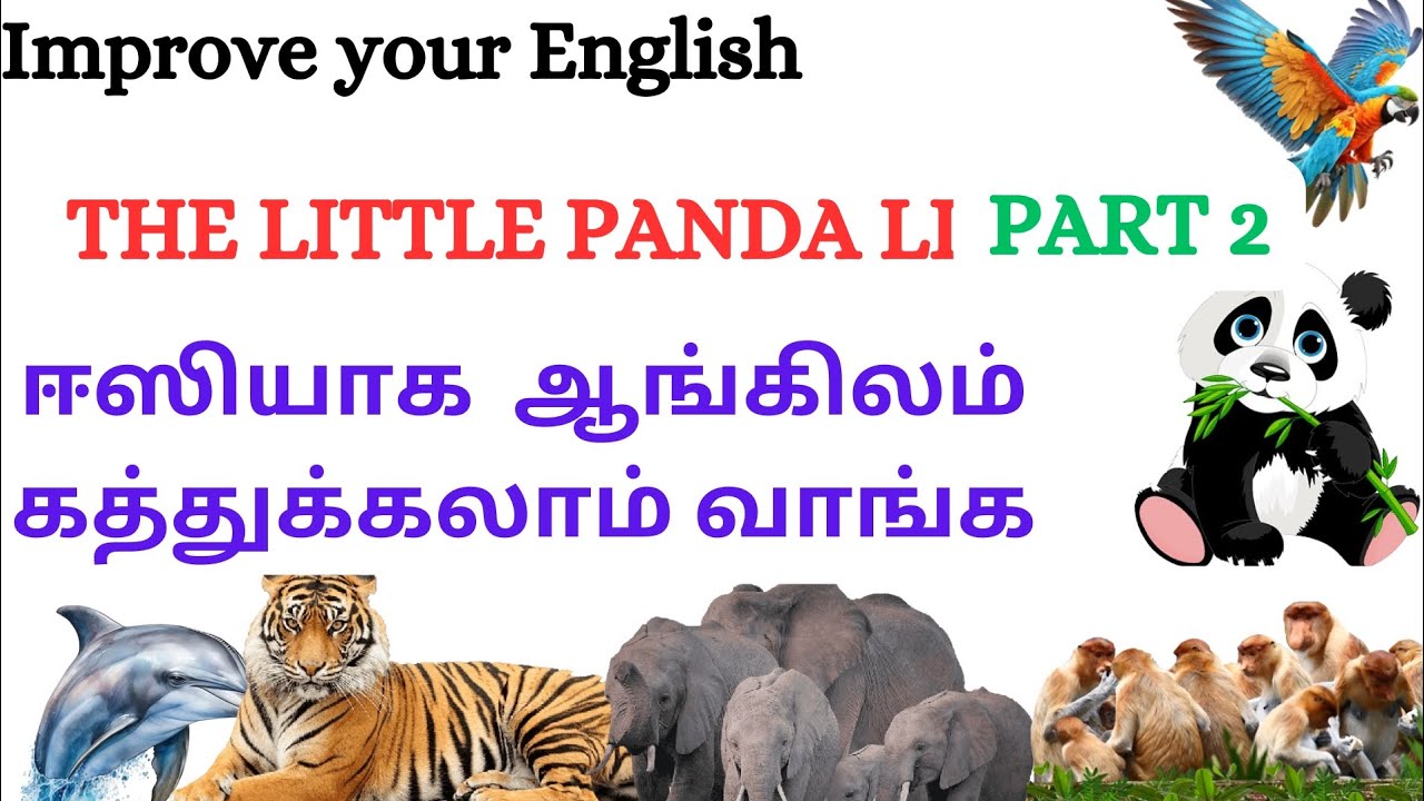 PANDA LI RETURNS 2|Improve your English| Reading and Speaking Practice ...