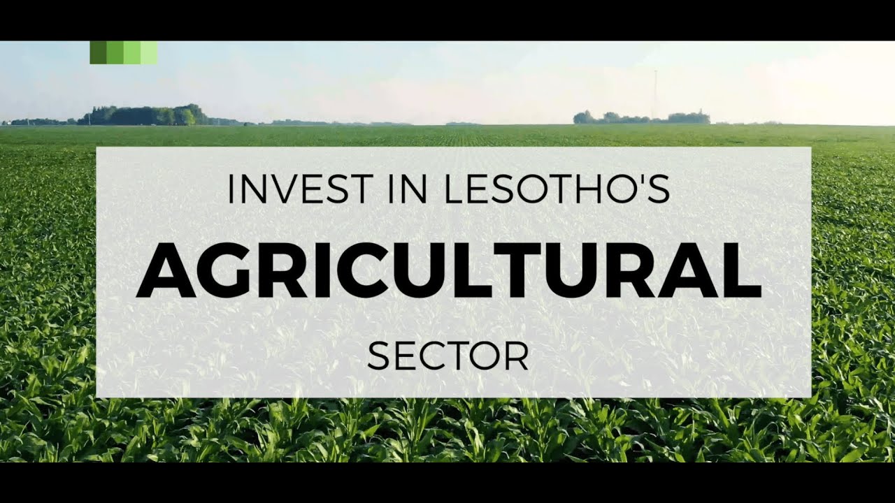 Lesotho Agriculture and Agro-Processing Sector - YouTube