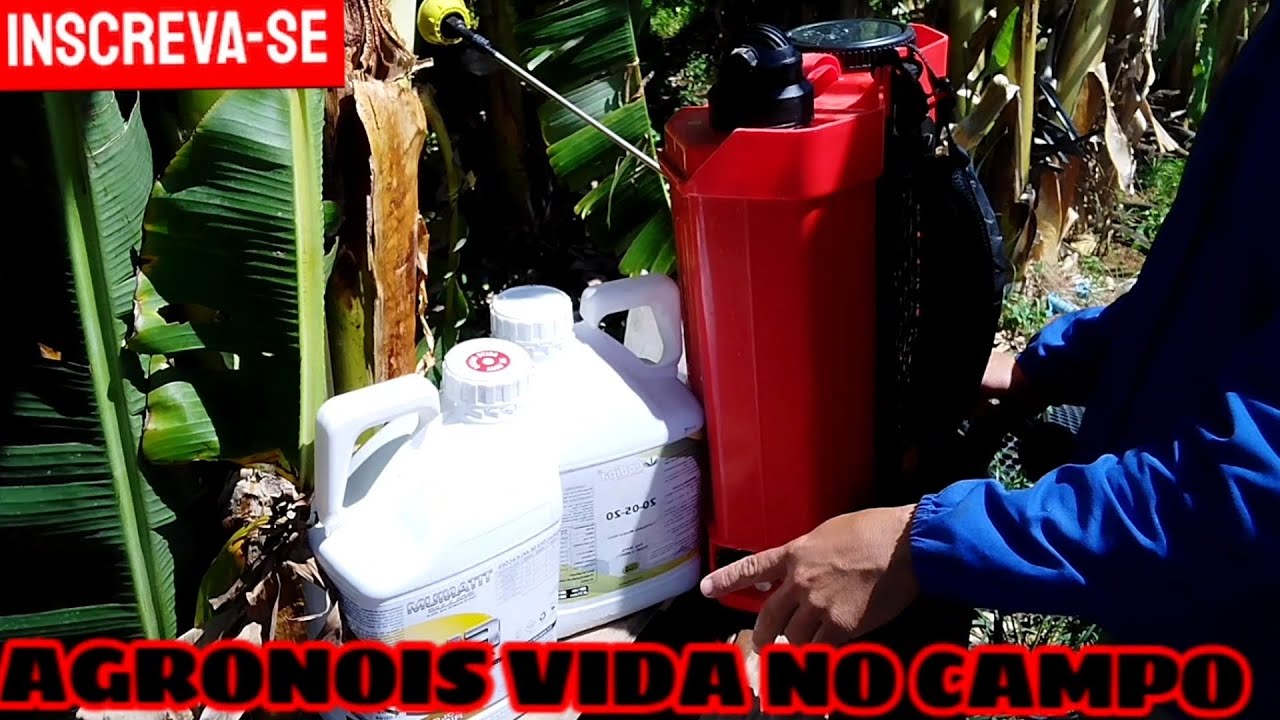 como adubar banana 🍌 com adulto líquido. - YouTube