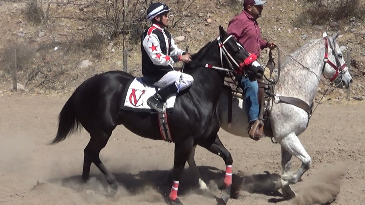La Carrera Del Orgullo | La Modelo Vs El Huracán, Coneto De Comonfort ...