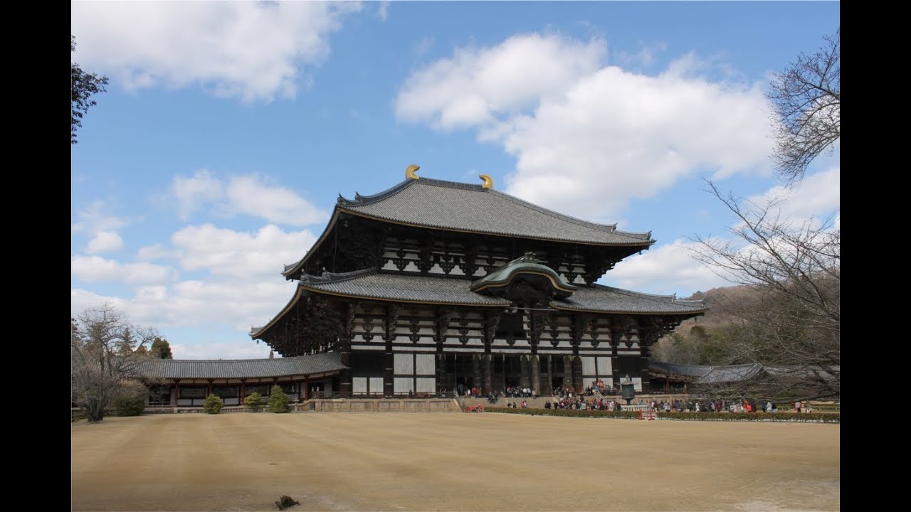 Japan Travel - Nara, Deer, Todaiji Temple, Sky Garden [Day 11] - YouTube