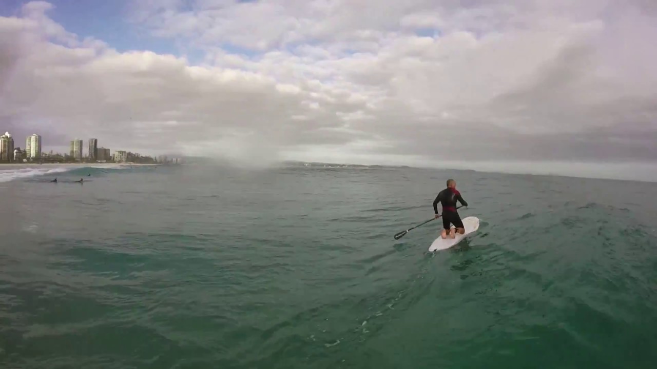 1 MINUTE WAVE AT SNAPPER ROCKS - YouTube