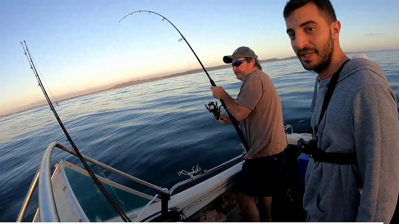 Rock Fishing Yamba at Timothy Bottom blog