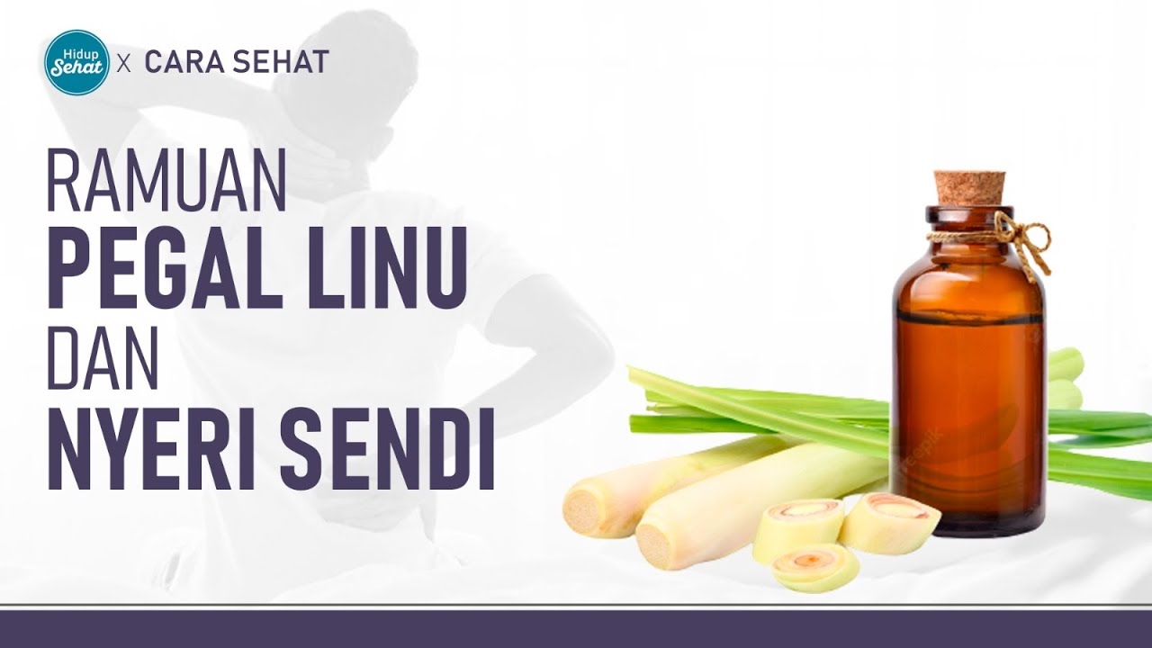 Ramuan Batang Serai untuk Pegel Linu Hingga Nyeri Sendi | Hidup Sehat ...
