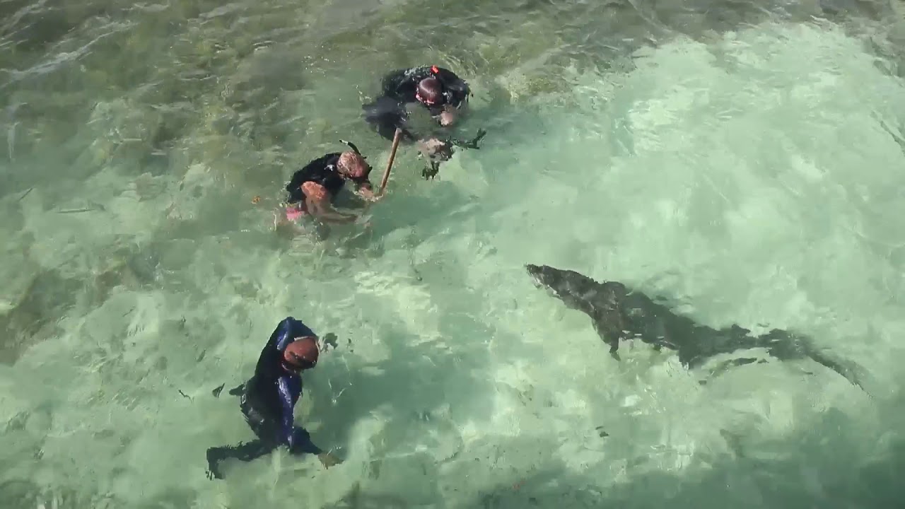 Banco Chinchorro, Quintana Roo México por El Edgar Chávez - YouTube