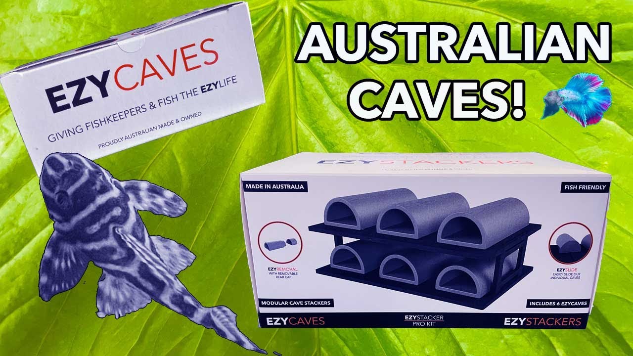 EZYCAVES REVIEW~ARE THEY EASY?!? * UNBOXING TROPICAL CATFISH! * - YouTube