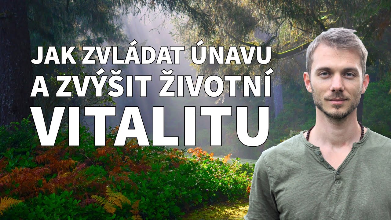 Jak zvládat únavu a zvýšit životní vitalitu (Marek Vich) - YouTube