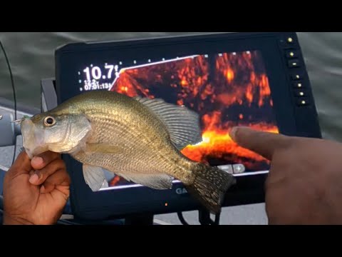 Learning How to Use, Read and Catch Crappie with “Livescope” - YouTube