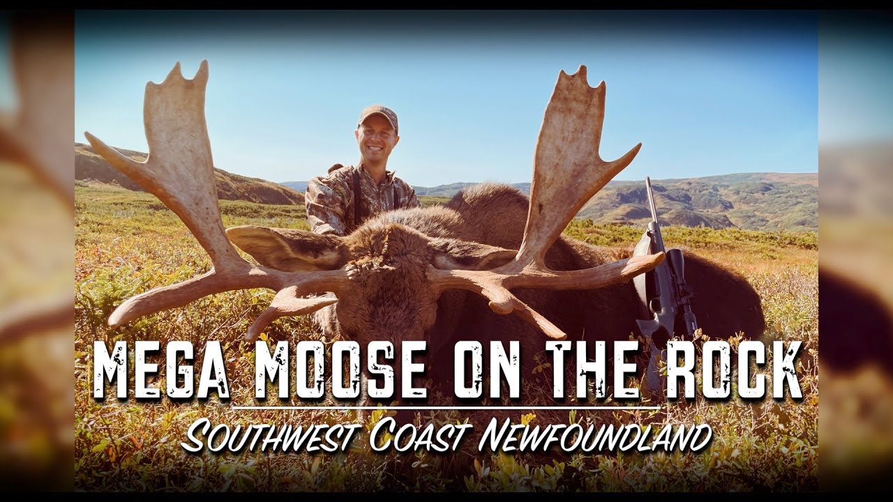 Mega Moose on the Rock | Promo | Canada in the Rough | S18E9 - YouTube