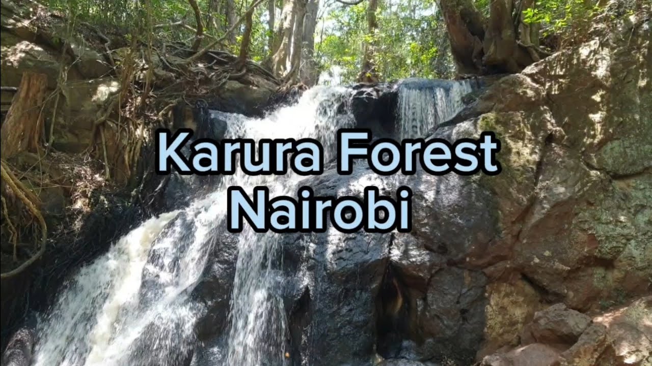 Vlog 11 Karura Forest Nairobi - YouTube
