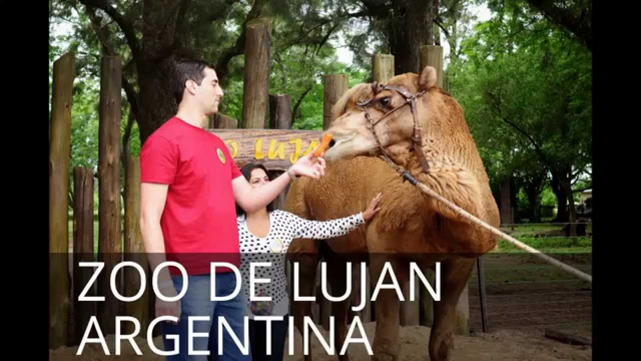 ZOO DE LUJAN - ARGENTINA - YouTube