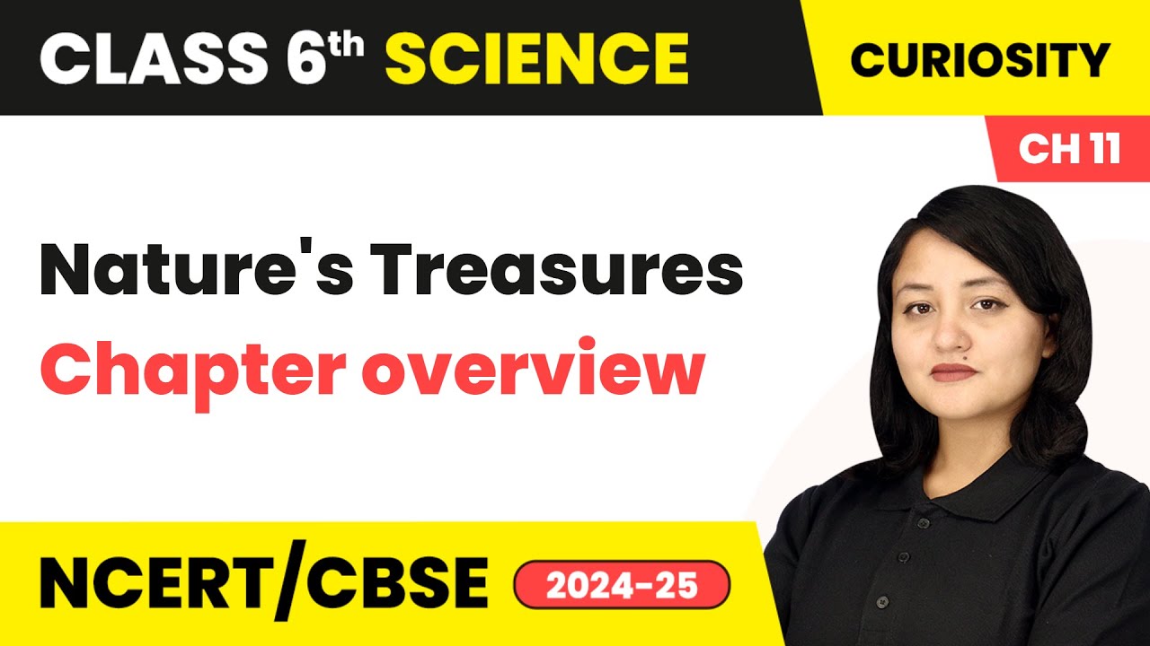 Nature's Treasures - Chapter overview | Class 6 Science Chapter 11 ...