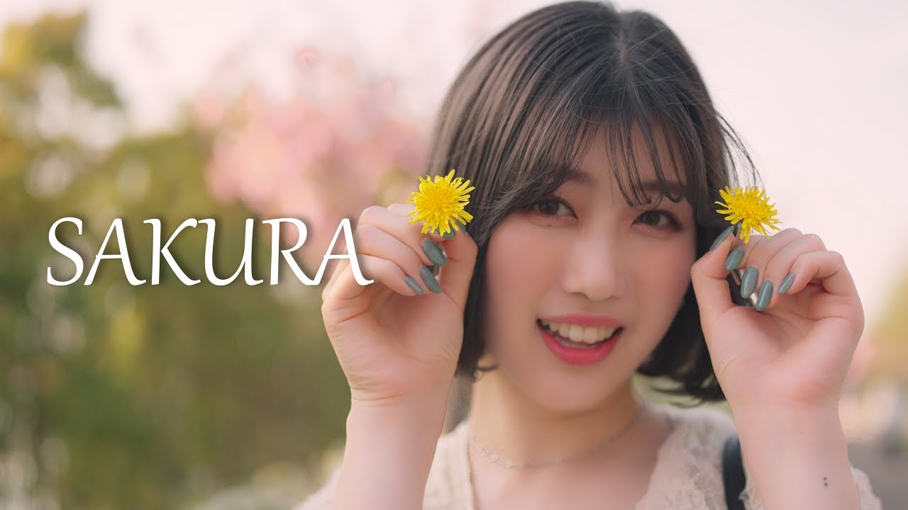SAKURA -CINEMATIC FILM- - YouTube