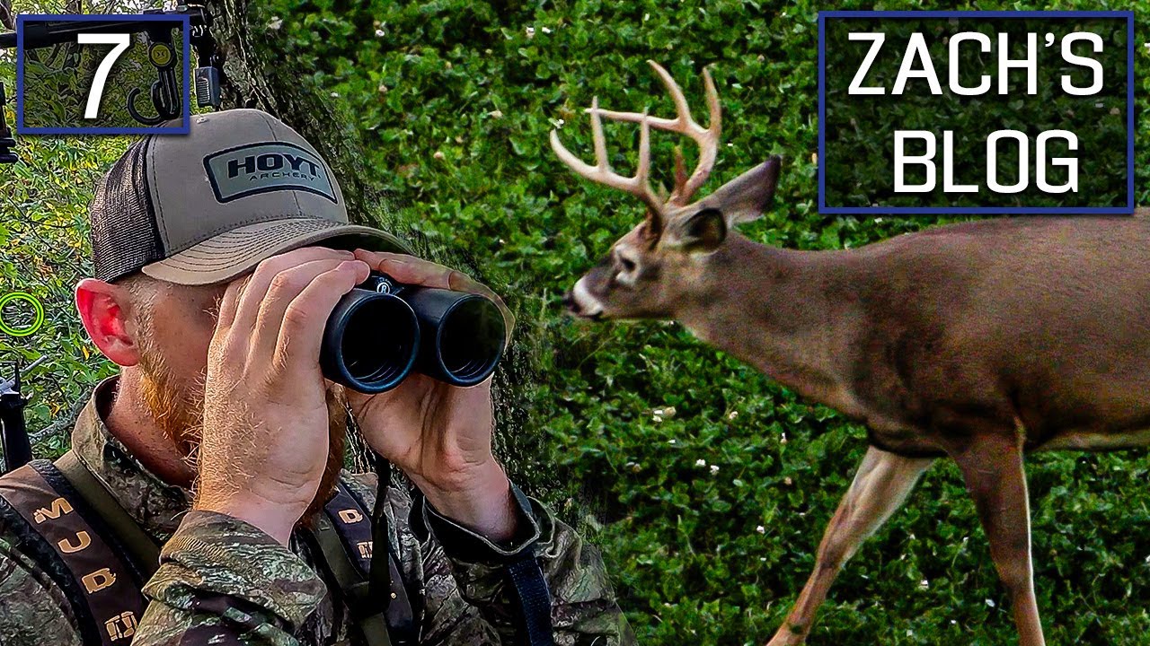 Early Season Excitement, First Sit At The Goat Hills | Zach's Blog # ...