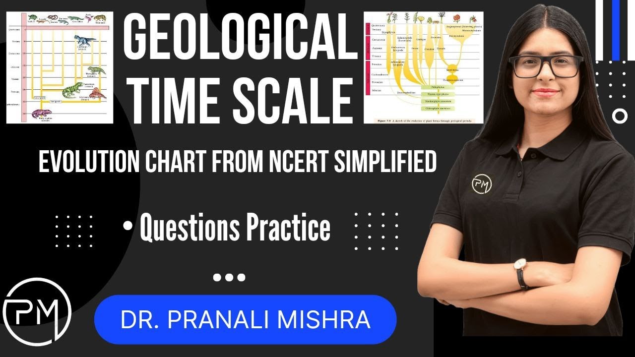 Geological time scale | Evolution chart NCERT explained | Easy tricks ...