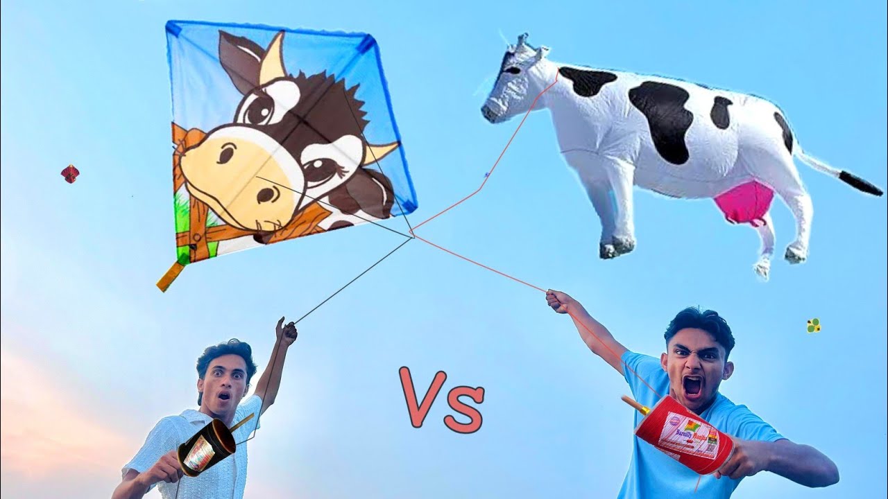 New Unique Cow Kite Catch Abubaker Roof | Cow Kite - YouTube