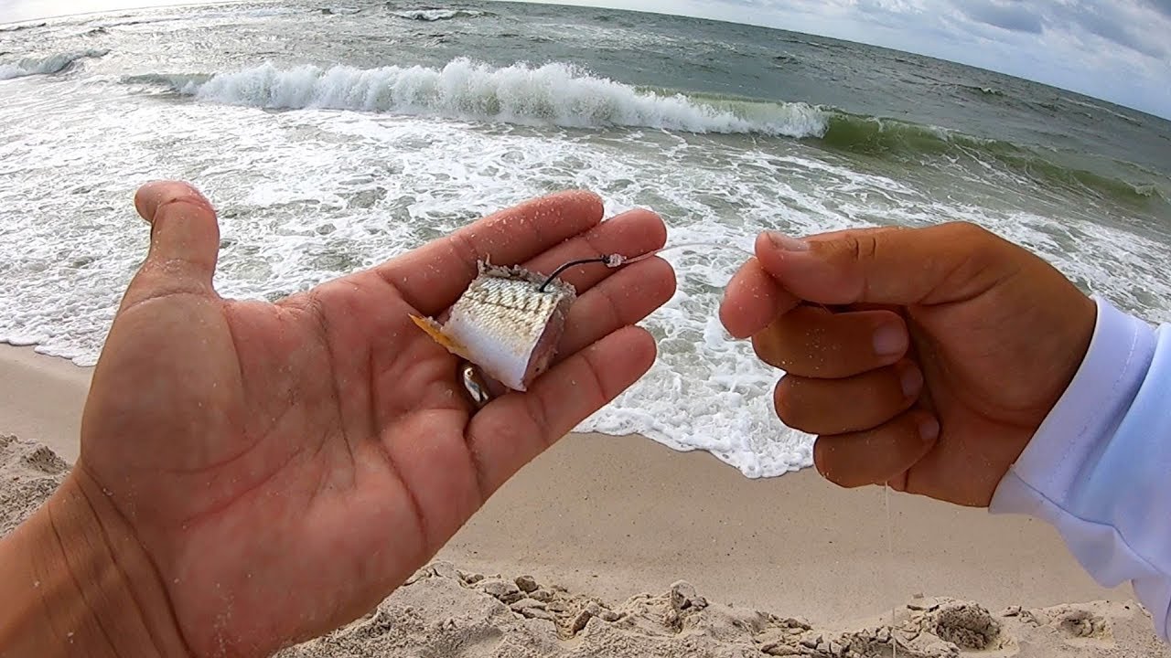 Surf Fishing with CUT BAIT in Rough Surf - YouTube