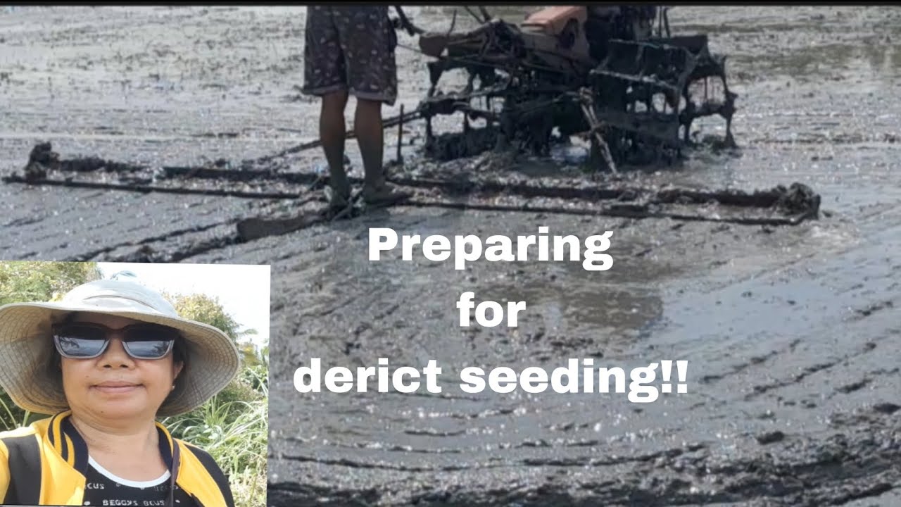 Using kuliglig for marker//preparing for derict seeding!!#farm #farmer ...