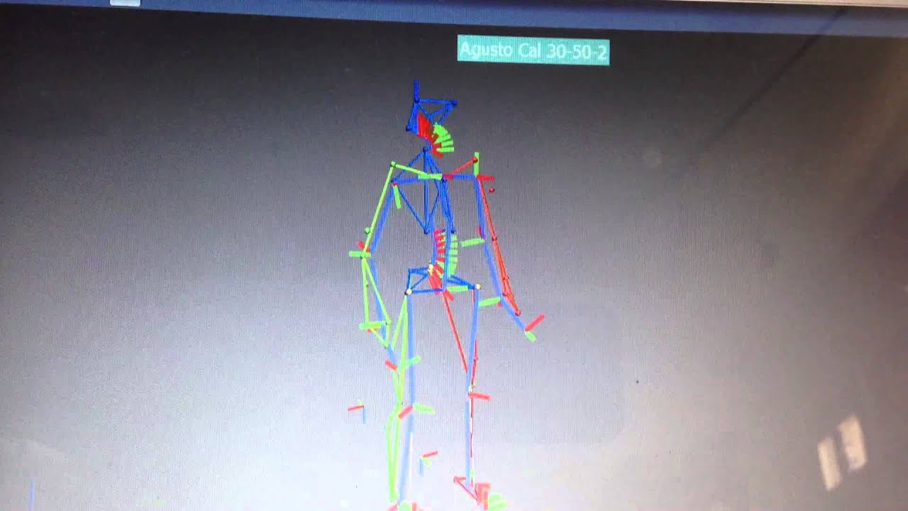 University Of Miami S Model - adding Lumbar & Cervical segments to the ...