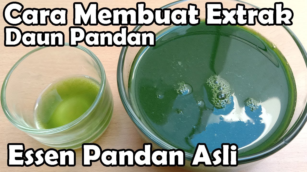 Cara Membuat Extrak Daun Pandan | Essen Pandan Asli - YouTube