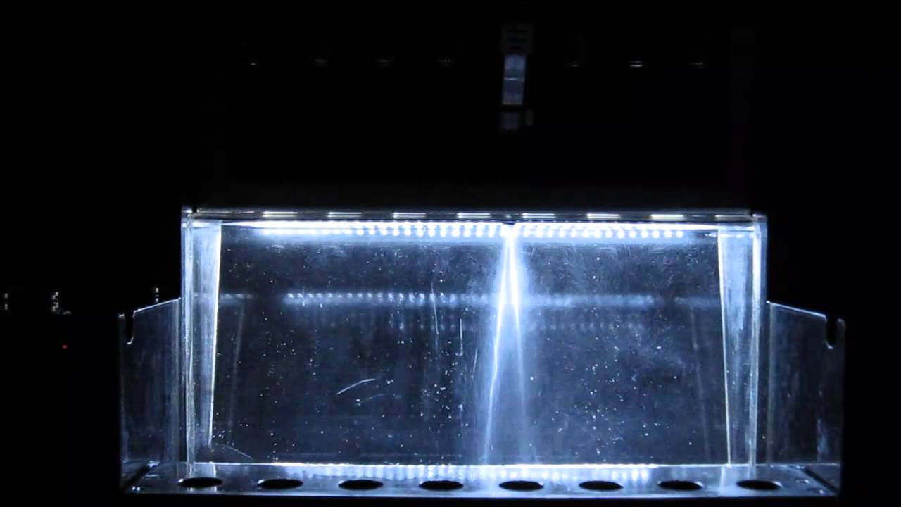 0280158279 spray - YouTube