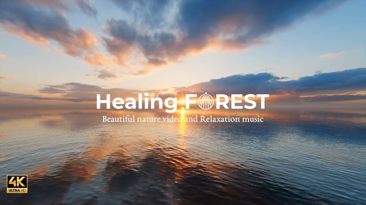 Relaxing Jazz Music Smooth Jazz saxophone with the Sound of Ocean Waves ...