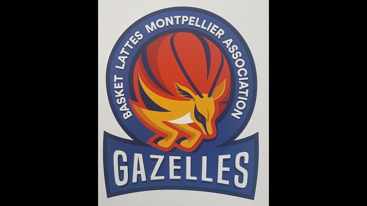 2019 - 20 BLMA (France) Offensive Playbook Euroleague Women's ...