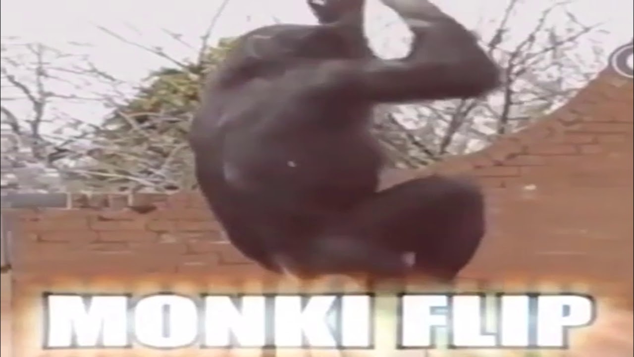 MONKI FLIP, но замедленный в 276 раз - YouTube