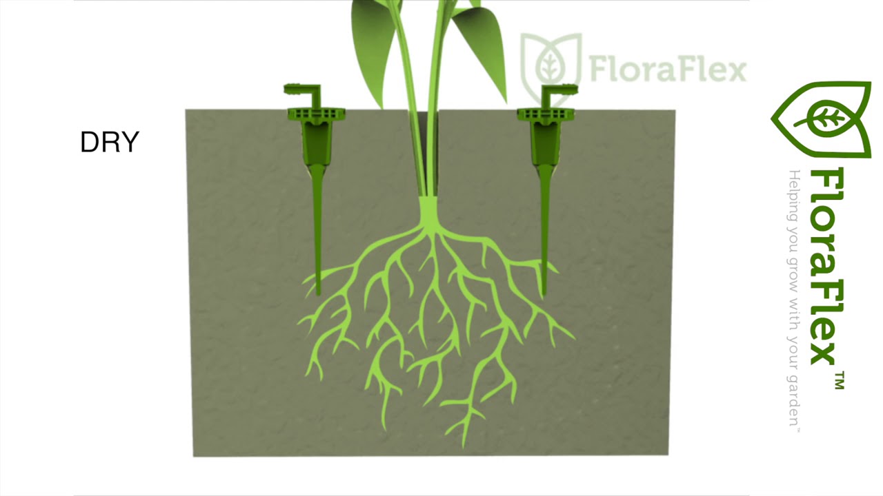 FloraFlex® Drippers The Subsurface Functionality - YouTube