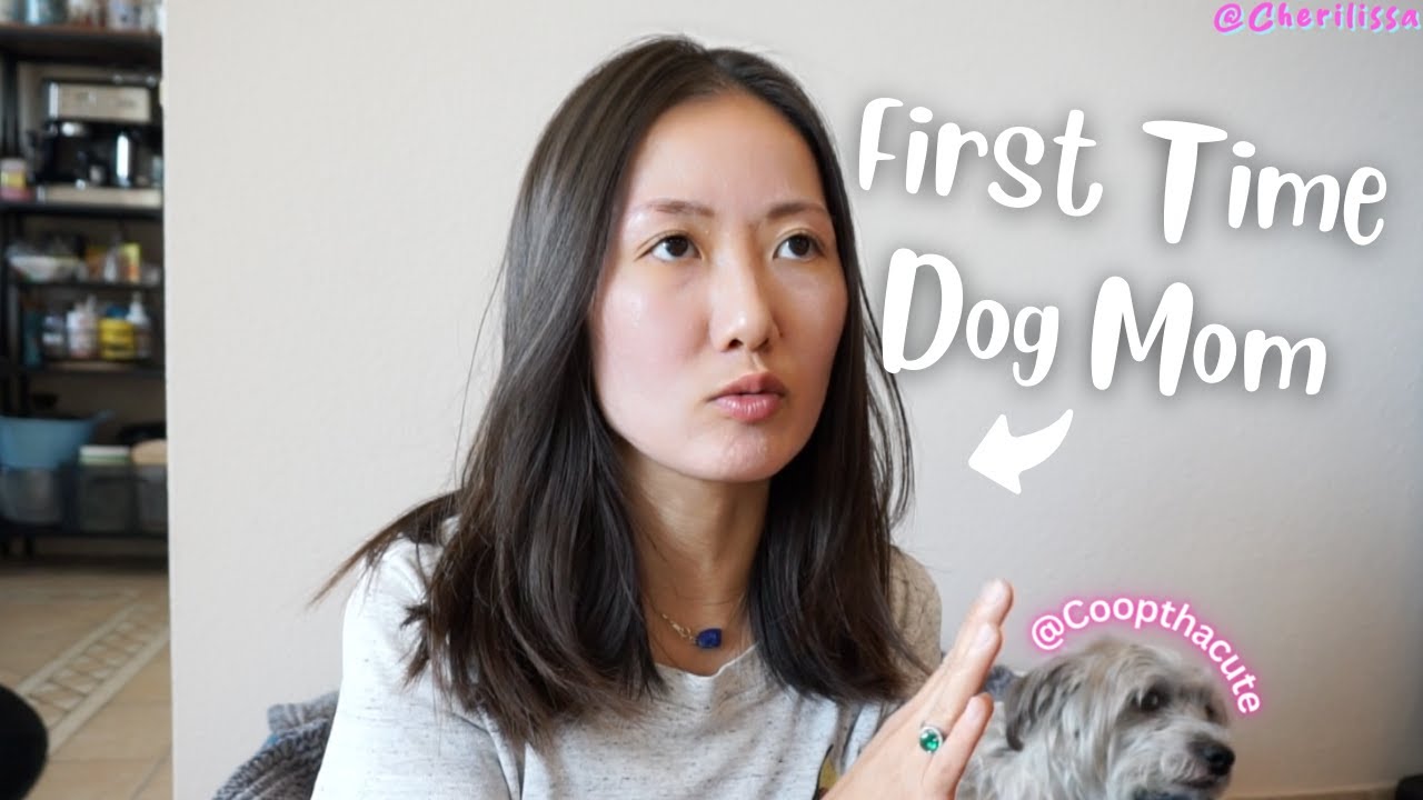 Things I Wish I Knew as a First Time Dog Mom ft @Coopthacute | Cheril ...