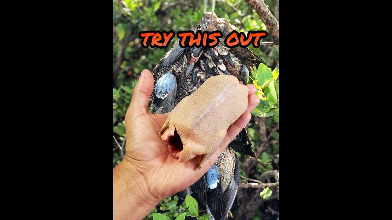 Best way to clean a whole duck. - YouTube