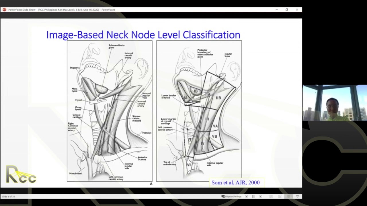 Lymph Nodes In Neck Levels