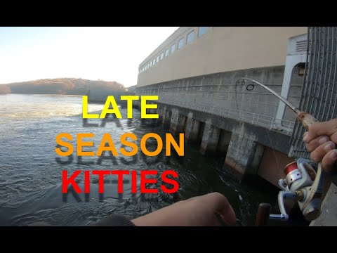 LATE SEASON CATFISHING AT MY FAVORITE DAM - YouTube