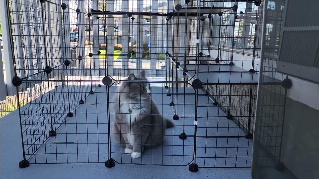 Eiiel Outdoor Cat Cage Kitty Enclosure With Super Large Enter Door 5