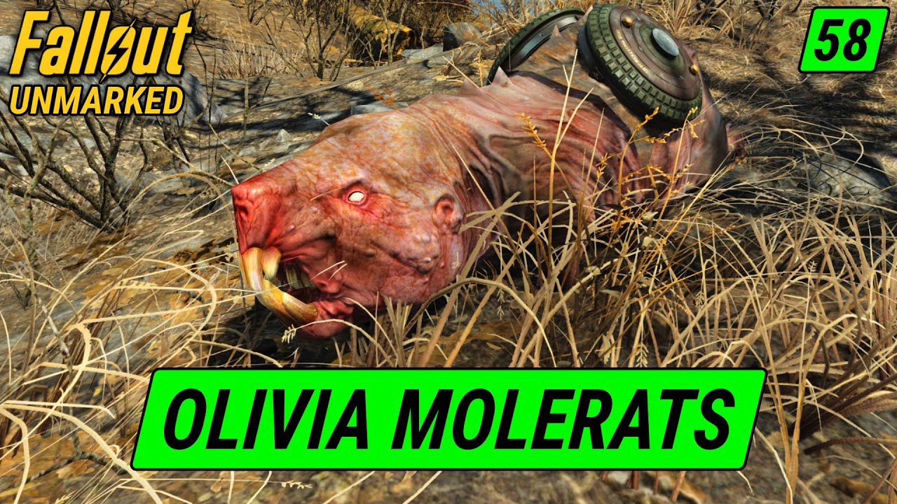 Olivia's Explosive Molerats | Fallout 4 Unmarked | Ep. 58 - YouTube