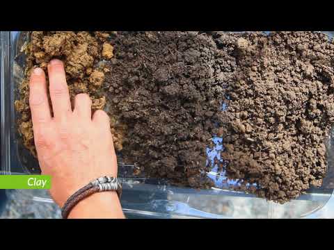 The squeeze test: how to test your soil type - YouTube