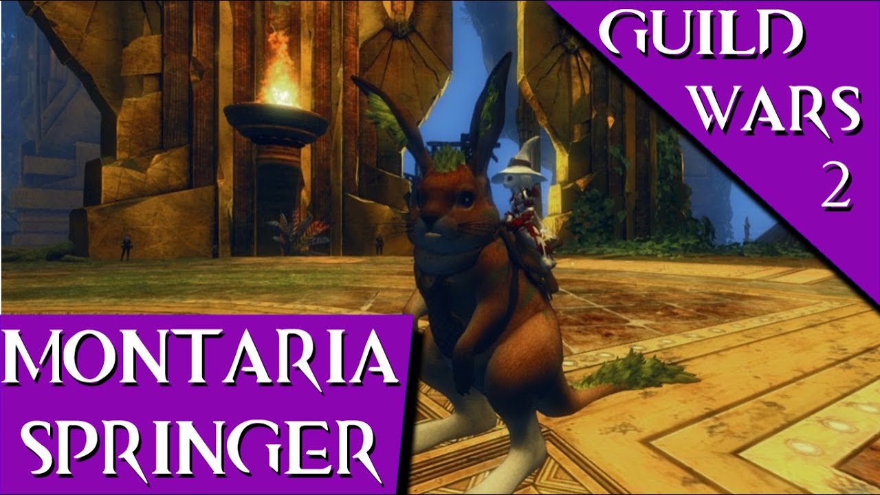 Montaria GW2 - Springer Coelho (Guild Wars 2) - YouTube