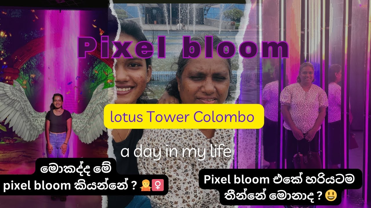 Pixel Bloom 😍 ️🦋 | Lotus Tower 🌷|With amma 🥰🤍#pixelbloom #lotustower # ...