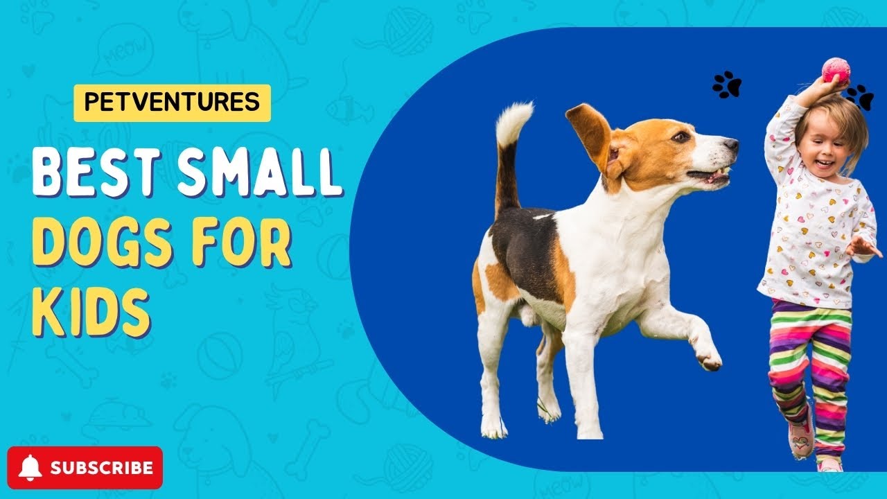 Best Small Dogs for Kids | Gentle and Playful Companions! - YouTube