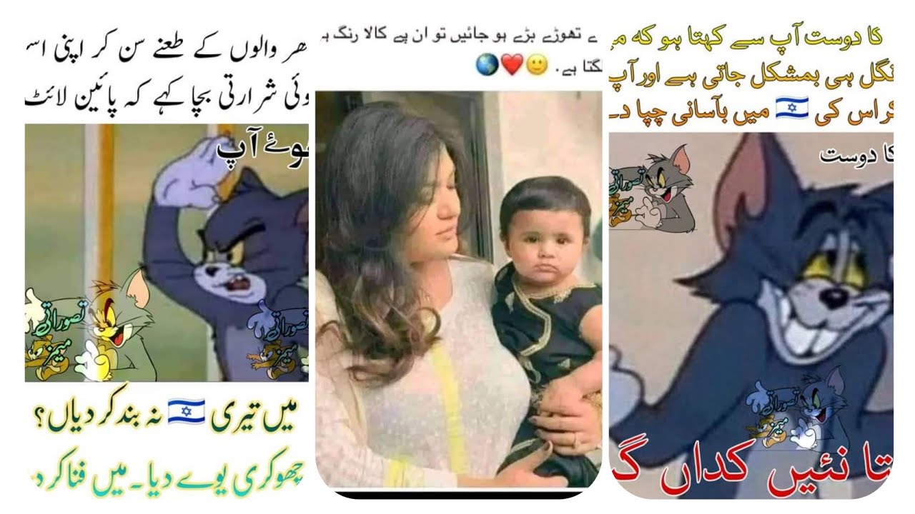 Tom Bhai ki yakkiyan || Tom bhai memes || Urdu memes || Tom and Jerry ...