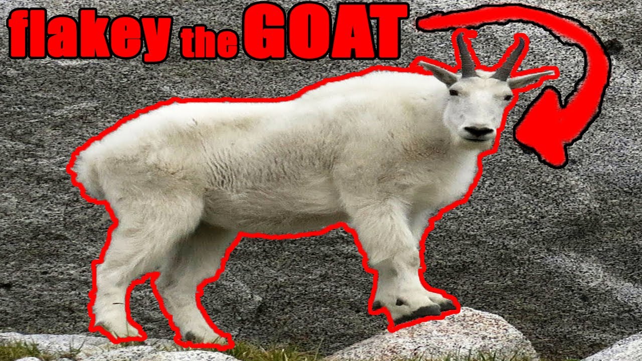 flakey the GOAT - YouTube