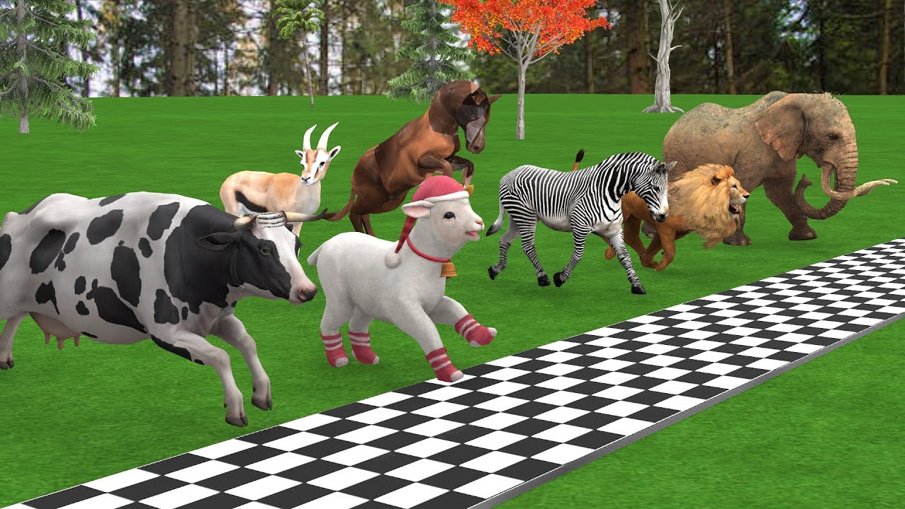 ANIMAL RACE Elephant, Zebra, Tiger, Camel, Horse, COW Planet Zoo Race ...
